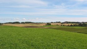 Forvaltningen - Landbruksdirektoratet